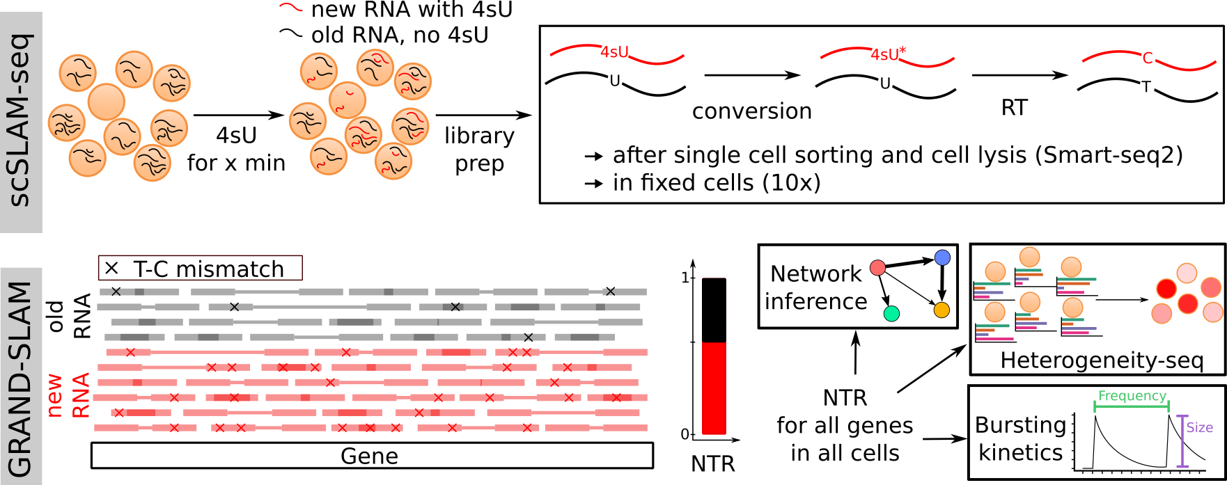 Research | erhard-lab